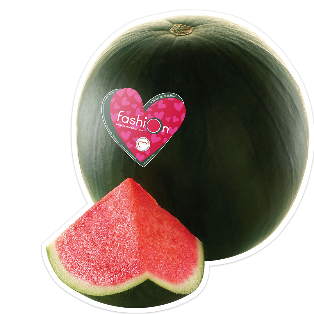 Conoce cómo somos y nuestra historia - Sandía Fashion