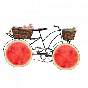 Sandía Fashion | Natural, healthy and seedless watermelon.